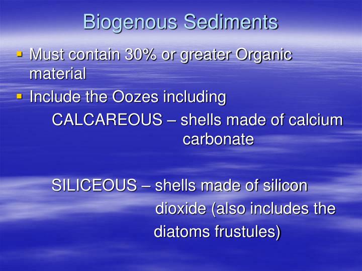 PPT - Sediments and the Sea Floor PowerPoint Presentation - ID:255889
