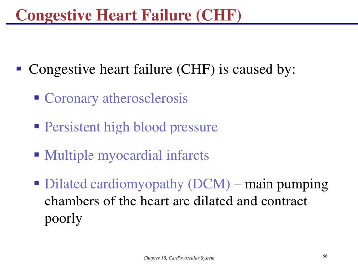 PPT - The Cardiovascular System: The Heart Anatomy PowerPoint ...