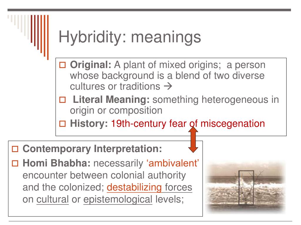 PPT - Post colonialism (3): Diaspora, Hybridity & the Other ...