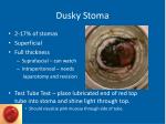 PPT - The Difficult Stoma PowerPoint Presentation - ID:257323