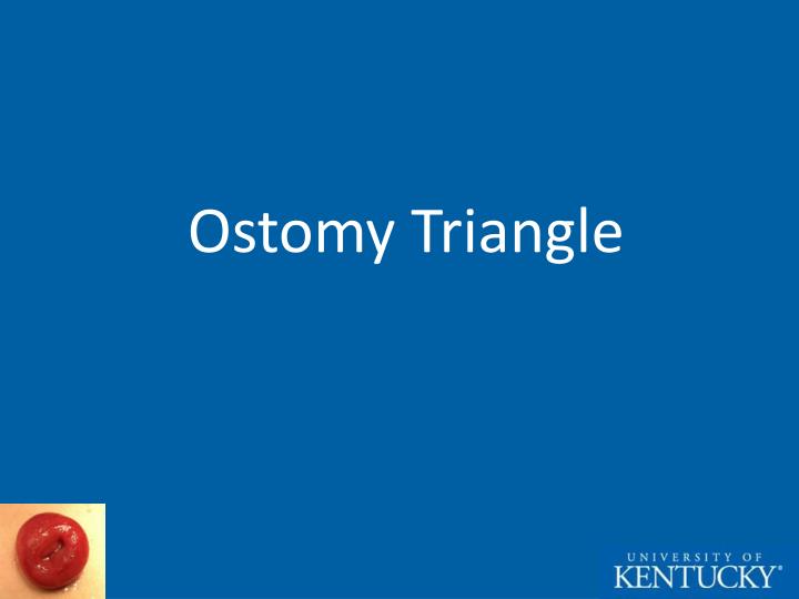 PPT - The Difficult Stoma PowerPoint Presentation - ID:257323