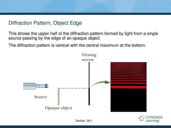 PPT - Chapter 38 PowerPoint Presentation - ID:257411