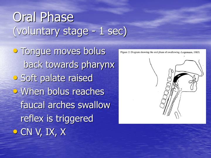 PPT - Swallowing Difficulties (Dysphagia) PowerPoint Presentation - ID ...
