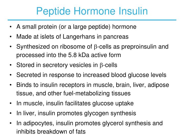 PPT - CHAPTER 23 Hormonal Regulation and Integration of Mammalian ...