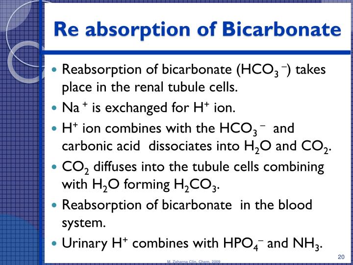 PPT - Blood Gases, pH and Buffer system PowerPoint Presentation - ID:257615