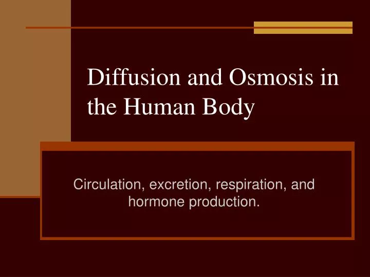 PPT - Diffusion and Osmosis in the Human Body PowerPoint Presentation ...