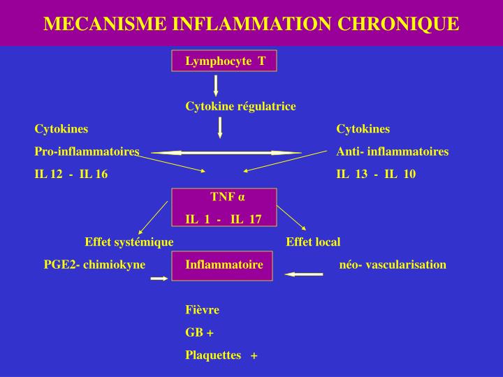 PPT - MALADIES INFLAMMATOIRES CHRONIQUES DE L ’INTESTIN PowerPoint ...