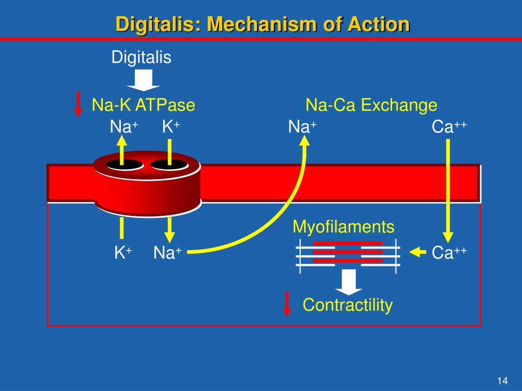 PPT - Other Risk Reducing Therapies, Guidelines, and Areas for ...