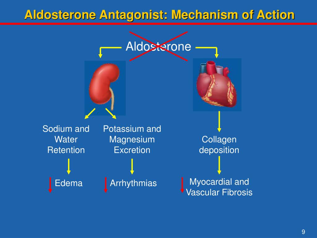PPT - Other Risk Reducing Therapies, Guidelines, and Areas for ...