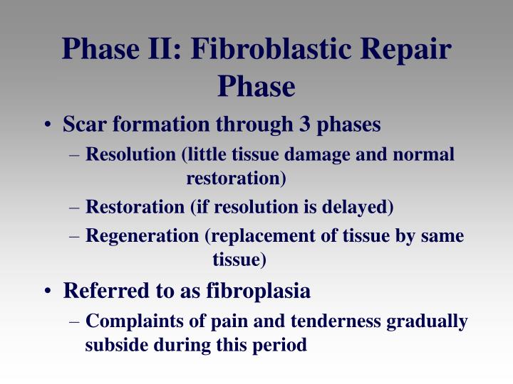 PPT - Chapter 10: Tissue Response to Injury PowerPoint Presentation ...