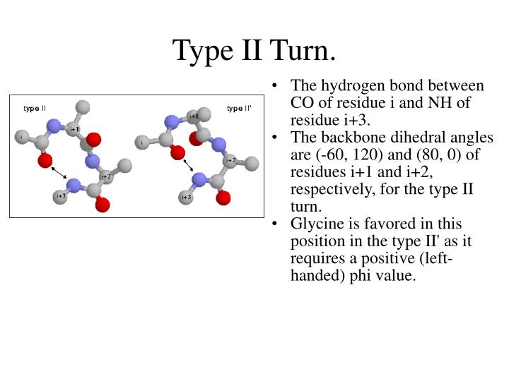 PPT - Secondary Structure Motifs of Proteins PowerPoint Presentation ...