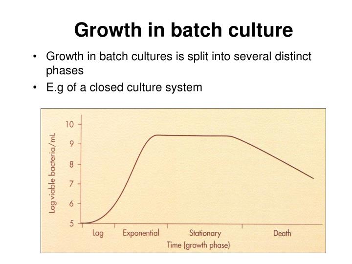PPT - Industrial Microbiology INDM 4005 Lecture 8 20/02/04 PowerPoint ...