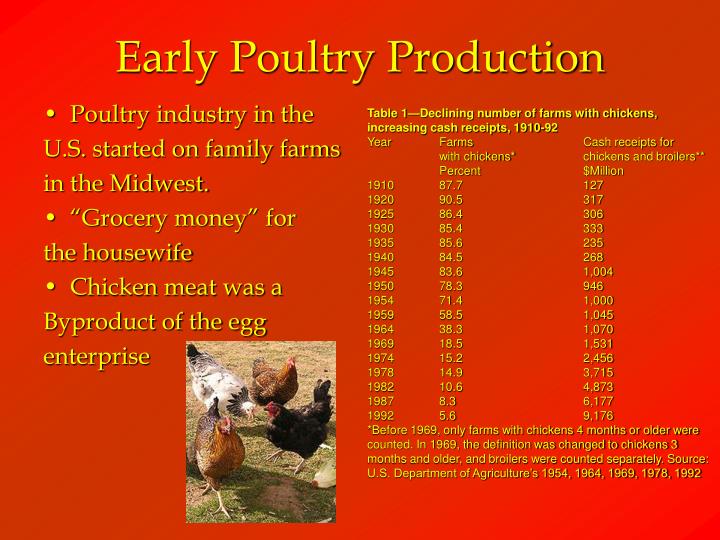PPT - An Overview of the Poultry Industry PowerPoint Presentation - ID ...