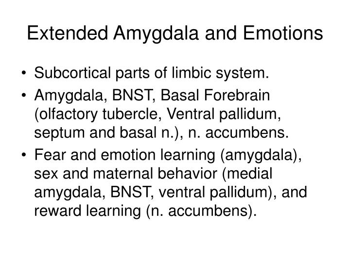 PPT - Fear, Anxiety Disorders and Amygdala PowerPoint Presentation - ID ...