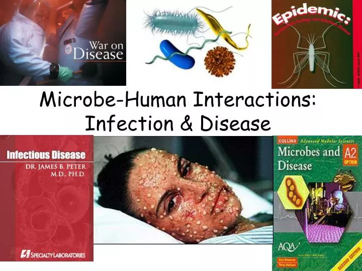 PPT - Microbe-Human Interactions: Infection & Disease PowerPoint ...