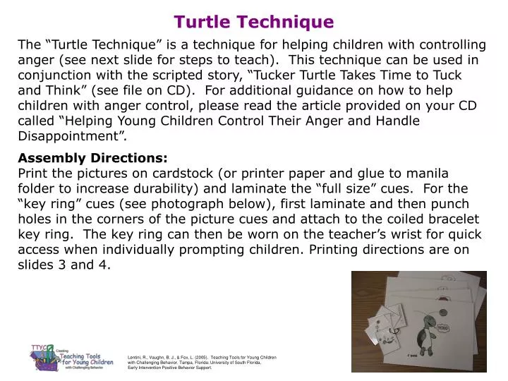 PPT - Turtle Technique PowerPoint Presentation, free download - ID:261718