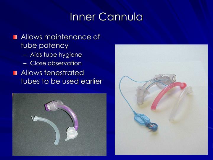 PPT - Tracheostomy Care PowerPoint Presentation - ID:262076