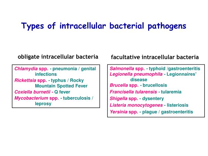 PPT - Intracellular Pathogens PowerPoint Presentation - ID:262275