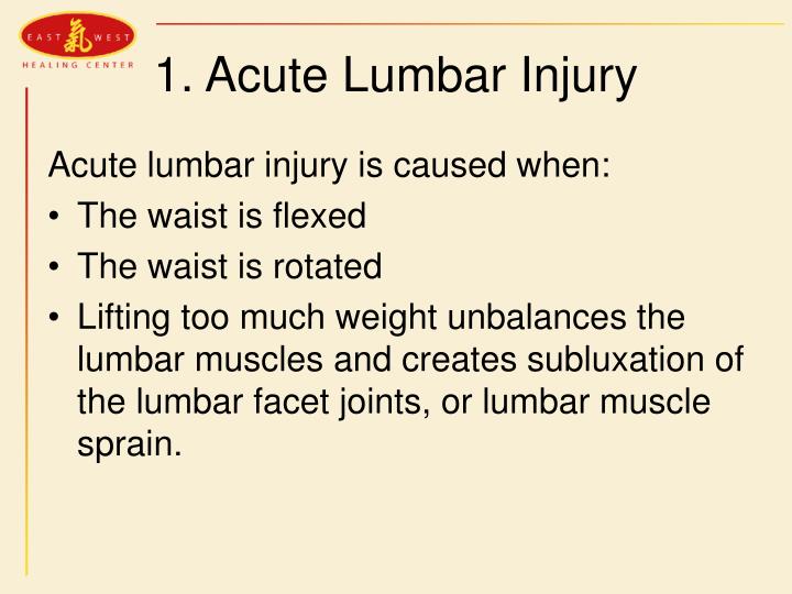 PPT - Pathology and TCM Treatment of the Herniated Lumbar Disc ...