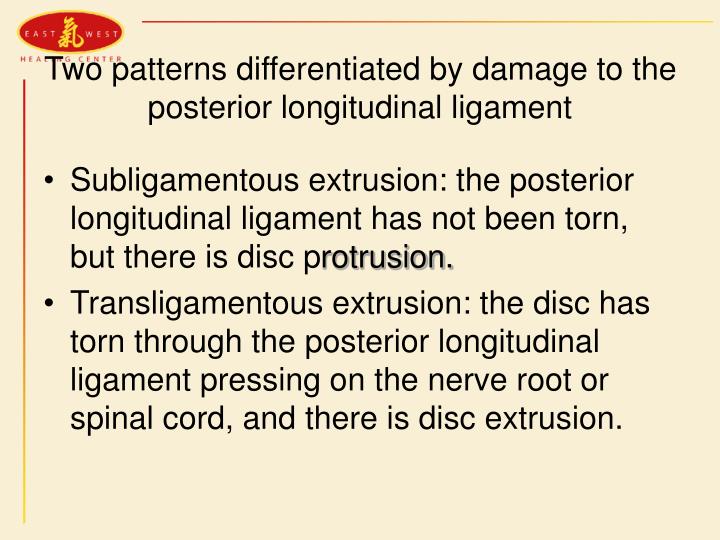 PPT - Pathology and TCM Treatment of the Herniated Lumbar Disc ...