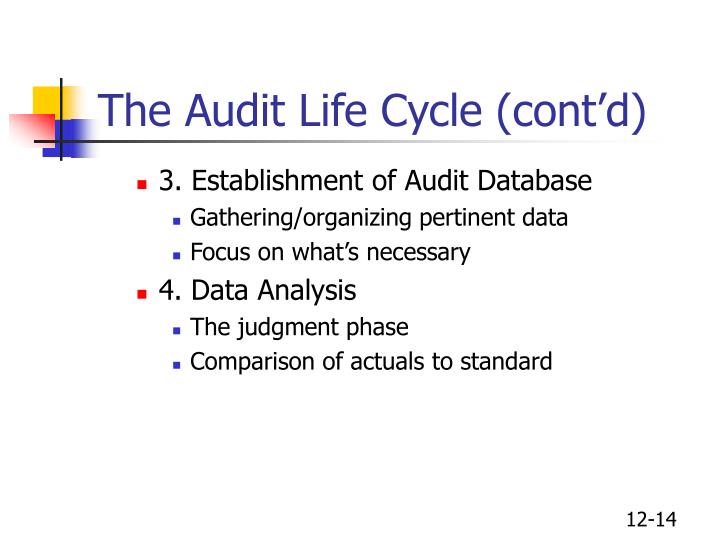 PPT - The Project Audit PowerPoint Presentation - ID:262919