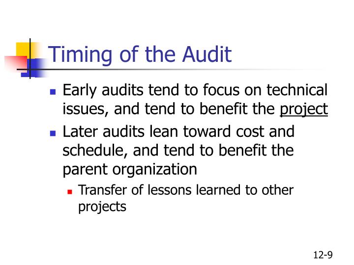 PPT - The Project Audit PowerPoint Presentation - ID:262919