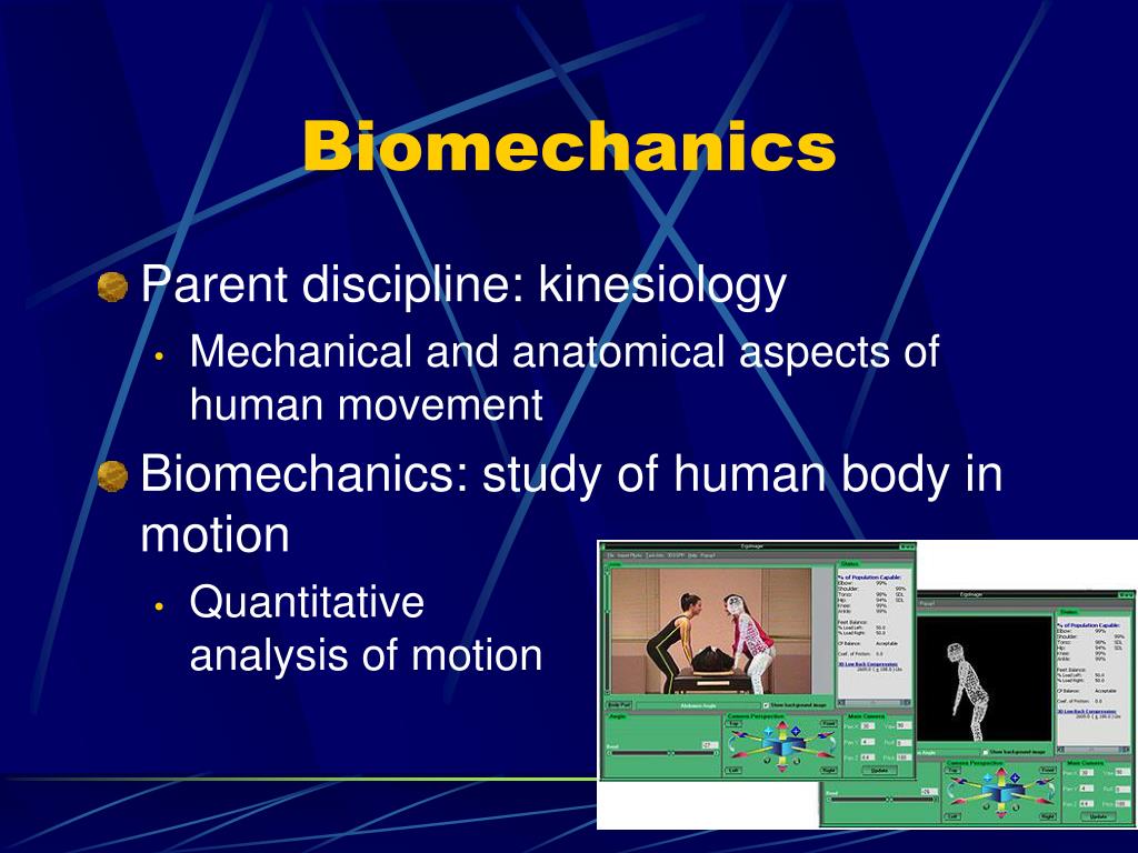 Ppt College Of Arts And Sciences Department Of Kinesiology Csusmkinesiology Powerpoint