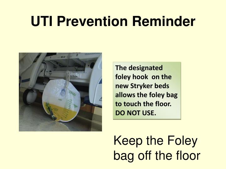PPT - Urinary Catheter Updates PowerPoint Presentation - ID:263602