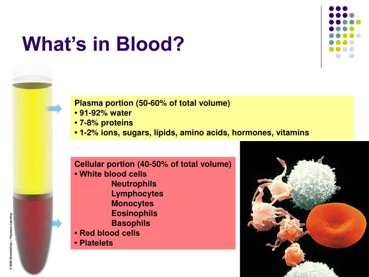PPT - Bloodstain Pattern Analysis PowerPoint Presentation - ID:264464