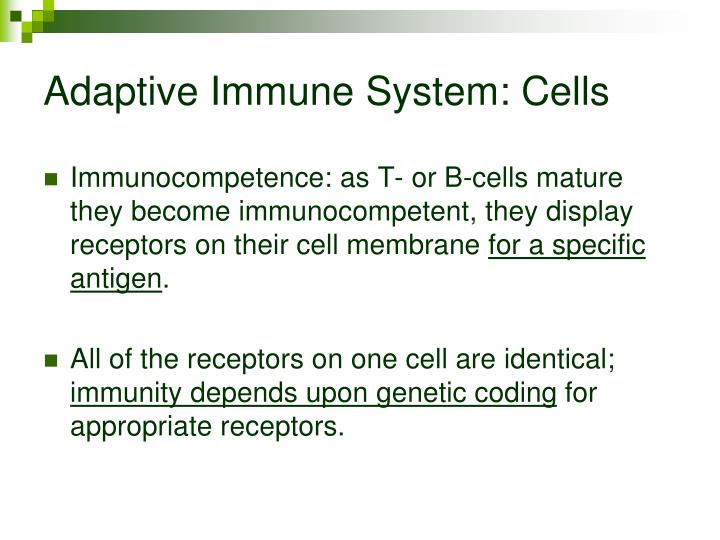PPT - The Immune System PowerPoint Presentation - ID:265862