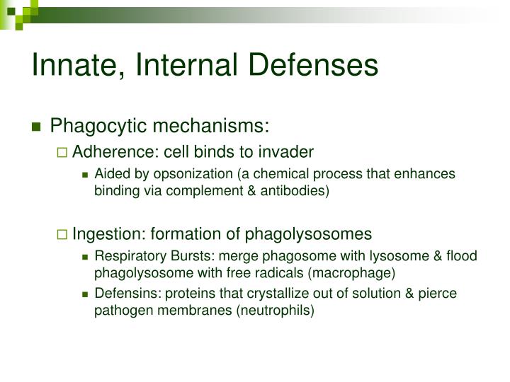 PPT - The Immune System PowerPoint Presentation - ID:265862