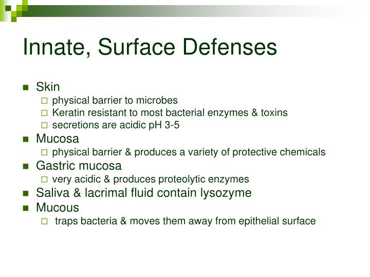 PPT - The Immune System PowerPoint Presentation - ID:265862