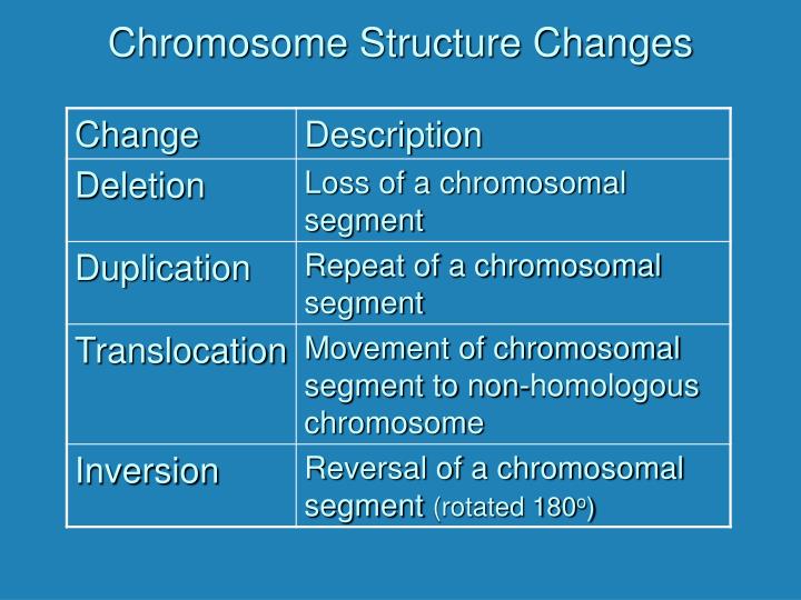 PPT - Chromosomal Mutations PowerPoint Presentation - ID:266487