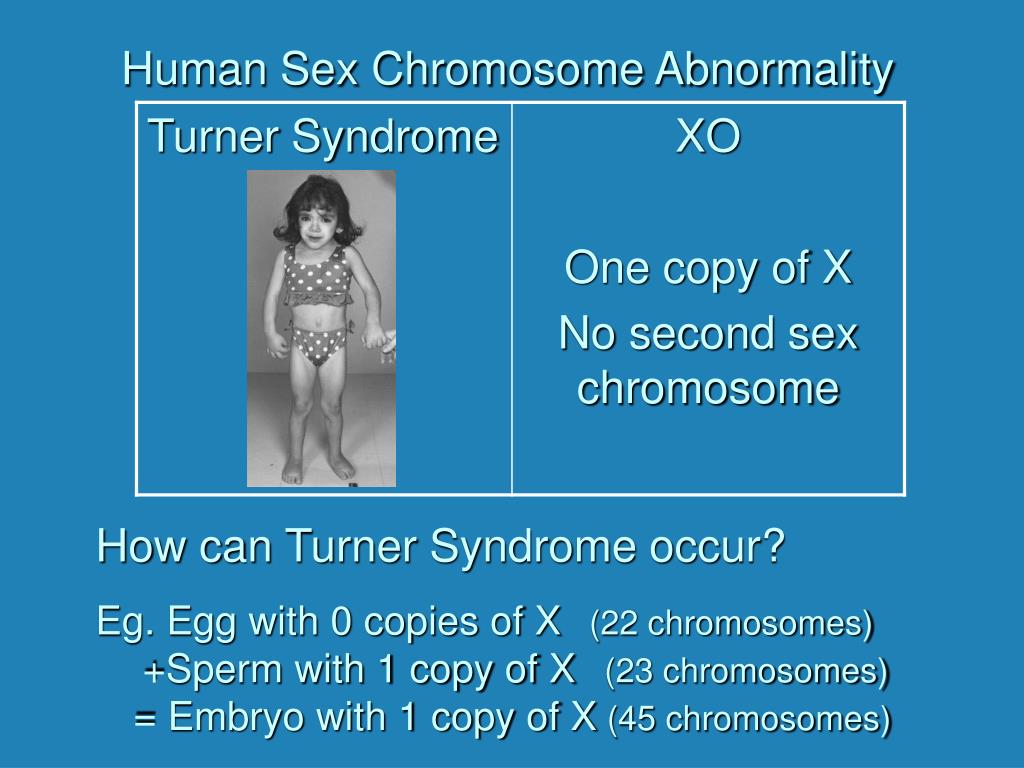 Ppt Chromosomal Mutations Powerpoint Presentation Free Download Id