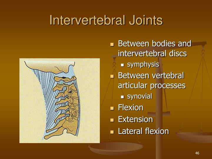 PPT - Chapter 9 Joints PowerPoint Presentation - ID:266616