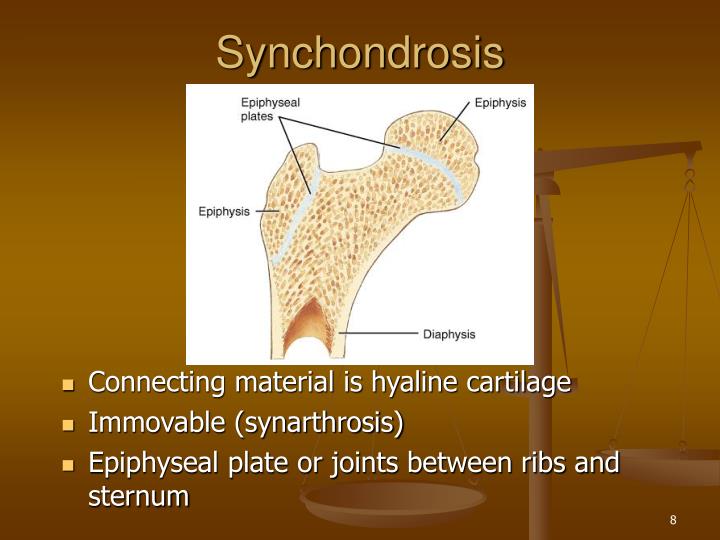 PPT - Chapter 9 Joints PowerPoint Presentation - ID:266616
