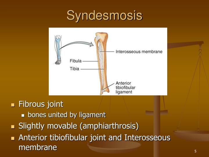 PPT - Chapter 9 Joints PowerPoint Presentation - ID:266616