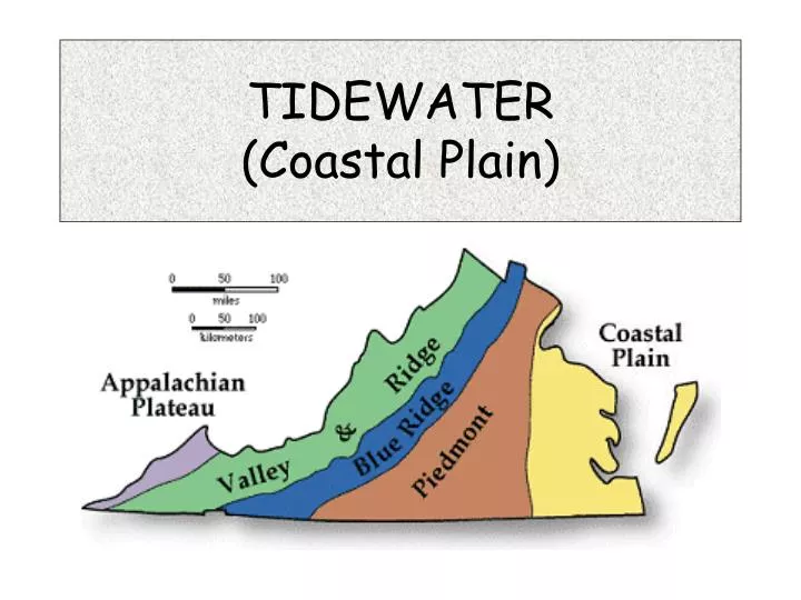 PPT - TIDEWATER (Coastal Plain) PowerPoint Presentation, free download ...
