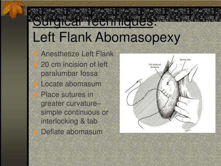 PPT - Abomasum PowerPoint Presentation - ID:267403