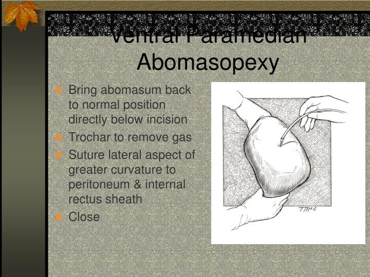 PPT - Abomasum PowerPoint Presentation - ID:267403