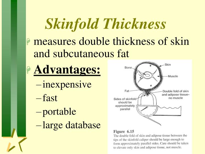 PPT - Assessment of Body Composition PowerPoint Presentation - ID:267435