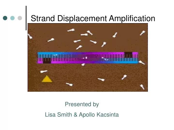 PPT - Strand Displacement Amplification PowerPoint Presentation, free ...