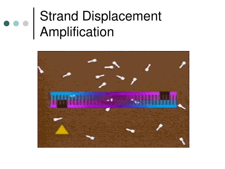 PPT - Strand Displacement Amplification PowerPoint Presentation - ID:267461