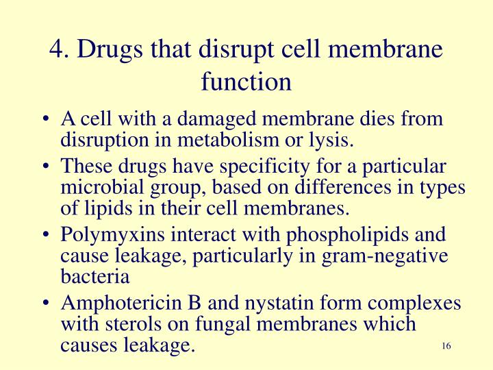 PPT - Foundations in Microbiology PowerPoint Presentation - ID:268568
