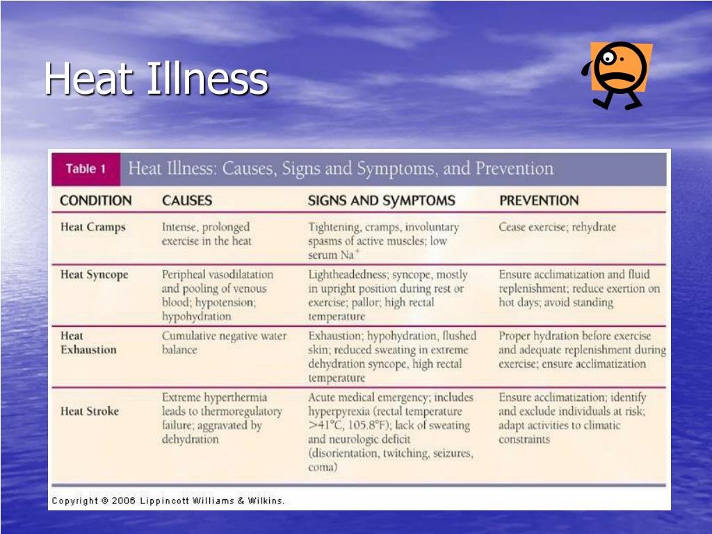 Ppt Thermoregulation Powerpoint Presentation Free Download Id 269735