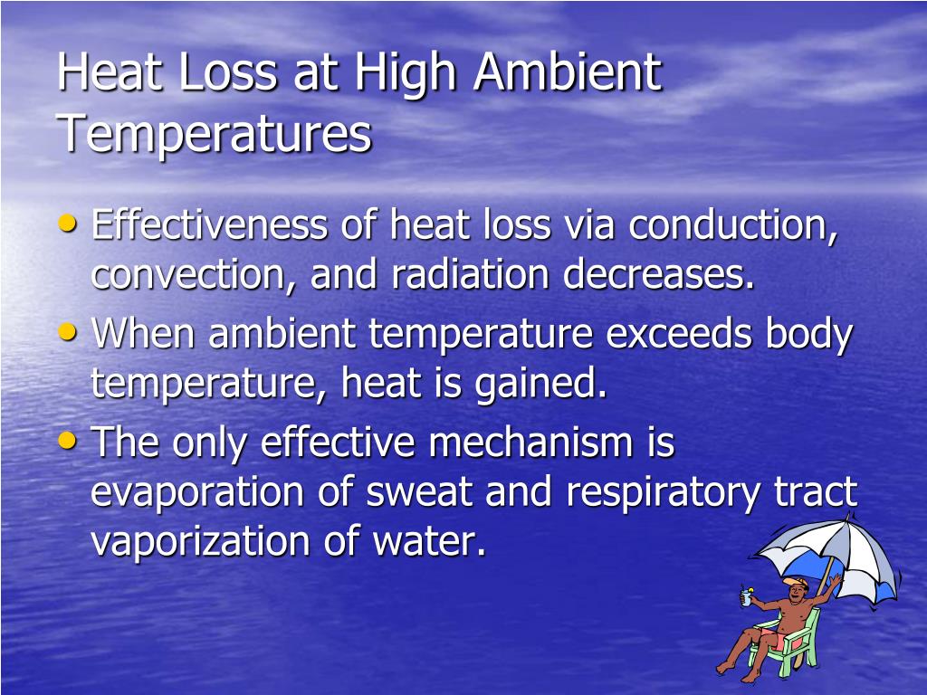 Ppt Thermoregulation Powerpoint Presentation Free Download Id 269735