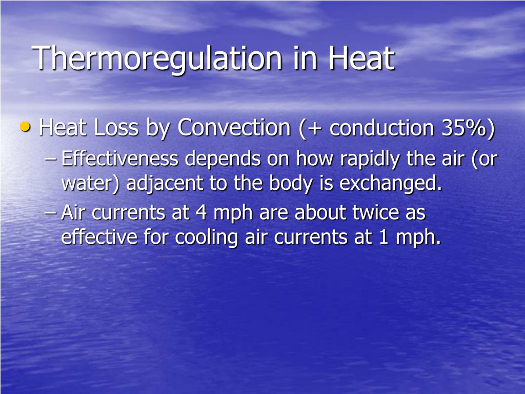 Ppt Thermoregulation Powerpoint Presentation Free Download Id 269735