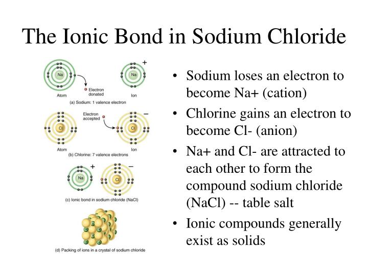 PPT - Chapter 2 The Chemical Level of Organization PowerPoint ...