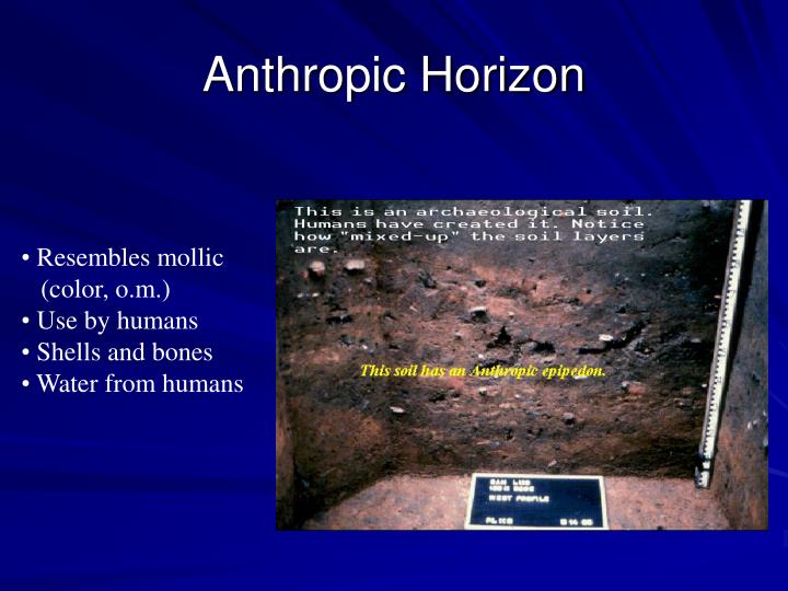 PPT - Soil Morphology and Classification PowerPoint Presentation - ID ...