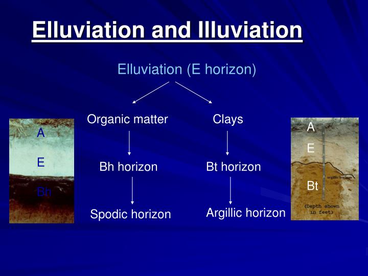 PPT - Soil Morphology and Classification PowerPoint Presentation - ID ...